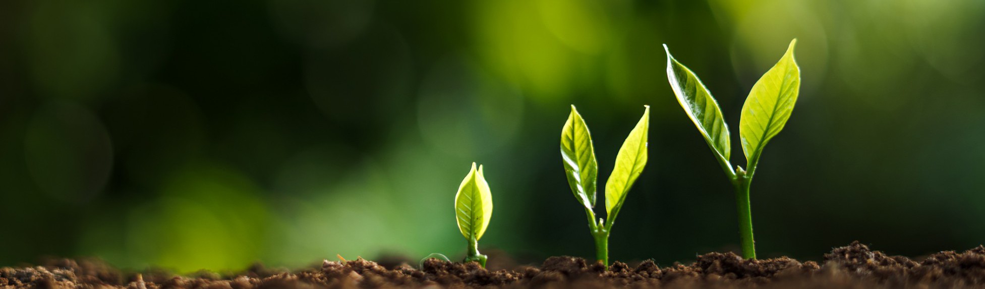 Contact Us - Gain Clarity